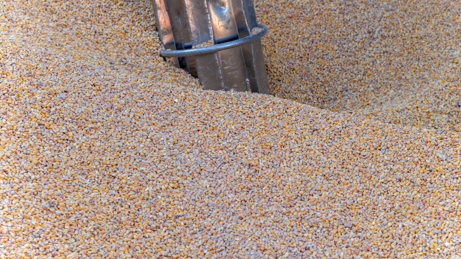 Agribulk shipping - PTC Groep