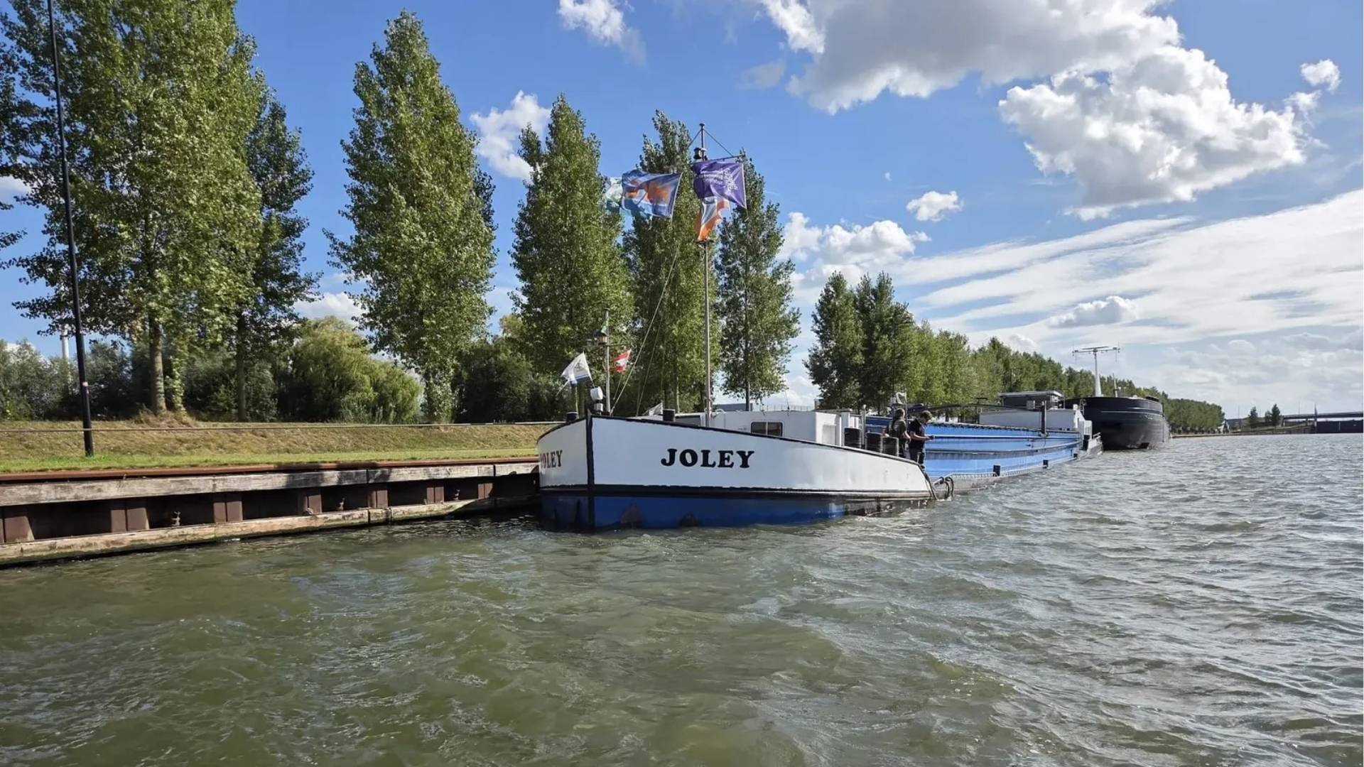 Joley - PTC Groep